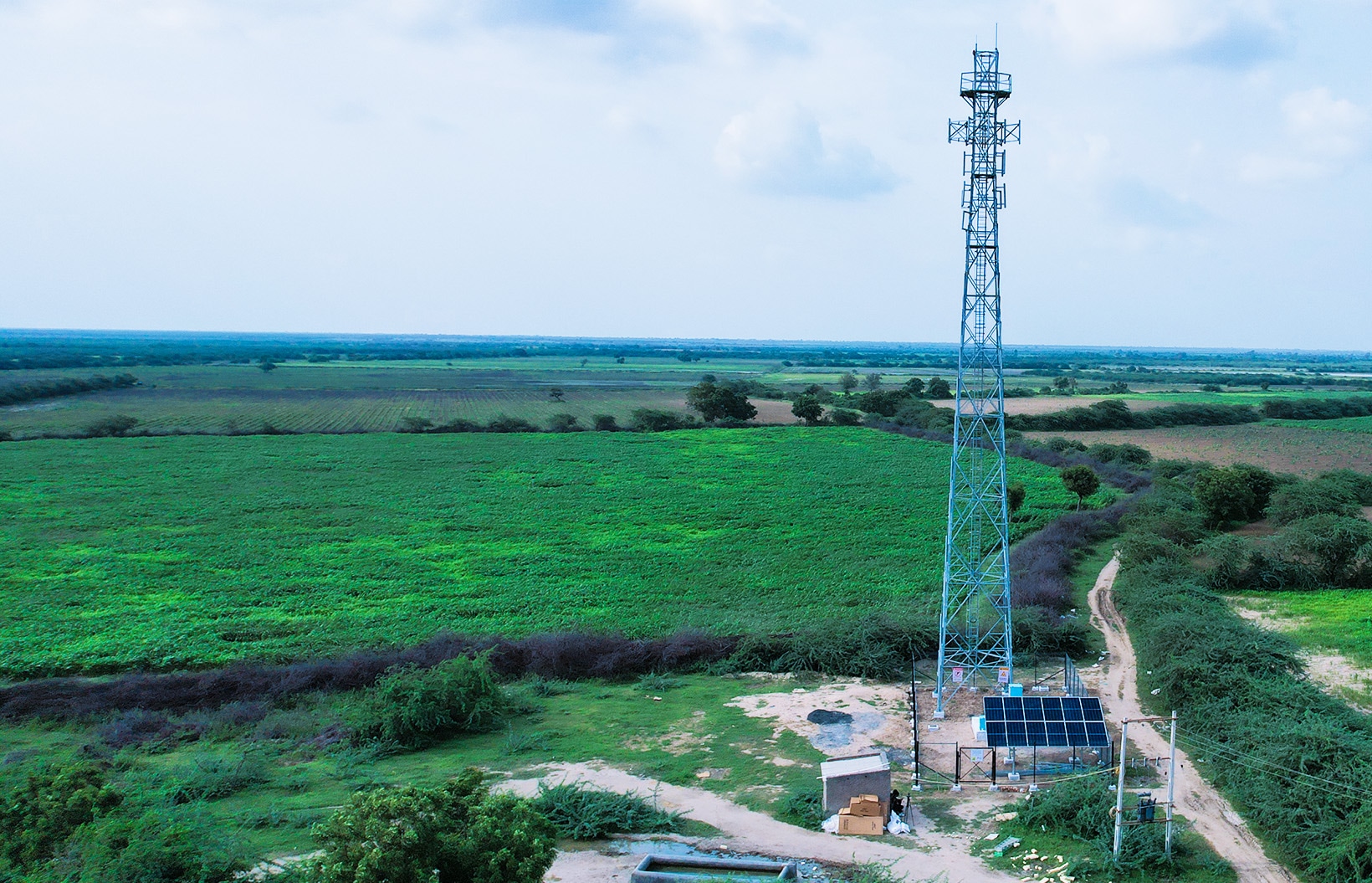 Pace Digitek Raises Rs 245 Crore From Anchor Investors Prior To IPO Launch