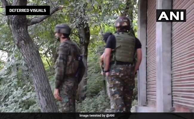 Shopian Encounter: Lashkar Operative Among 5 Terrorists Shot Dead In Jammu And Kashmir